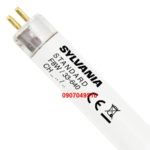Bóng đèn so màu CWF Sylvania F8W/T5/33-640 | Bóng đèn CWF